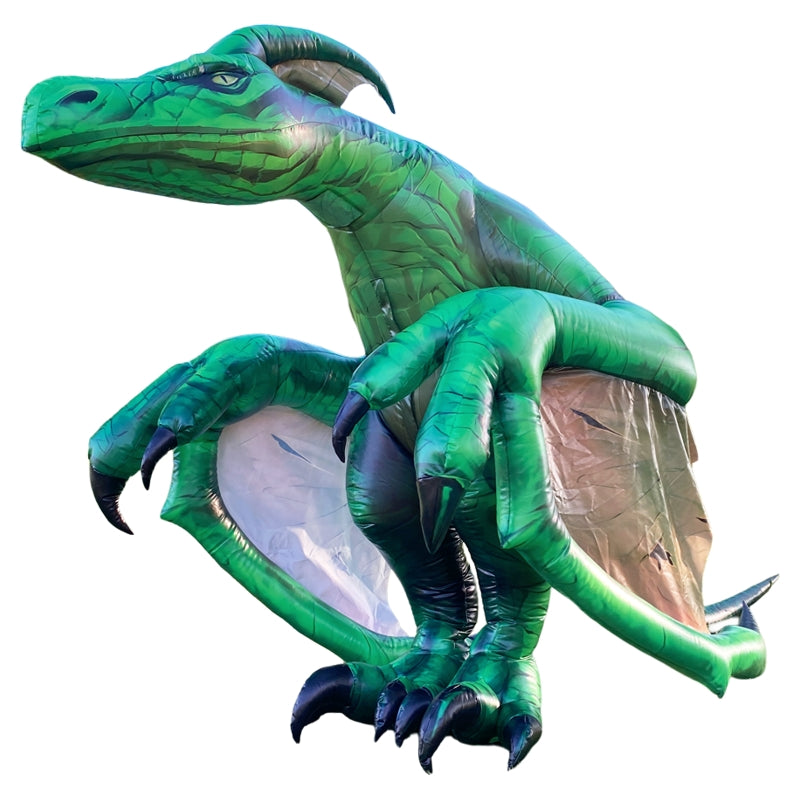 Pterodactyl inflatable costume – Yiyang Xing Digital Technology Longyan ...