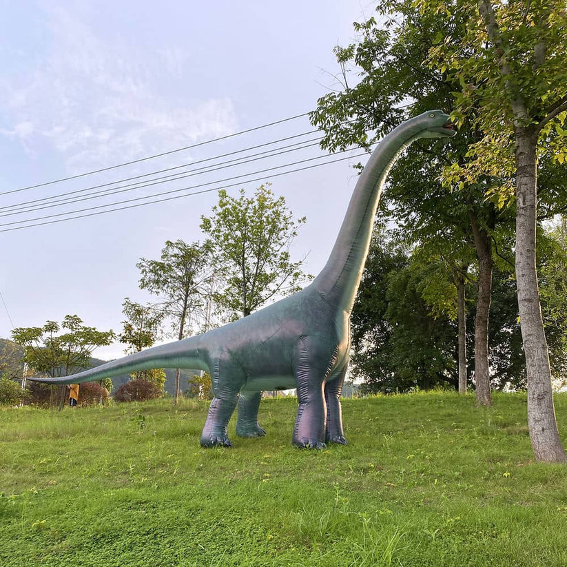 Mamenchisaurus inflatable costume, Giraffatitan dinosaur costume ...